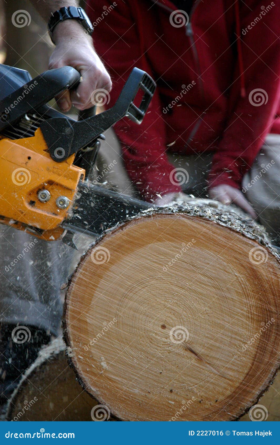 Working with chainsaw stock photo. Image of powertool - 2227016