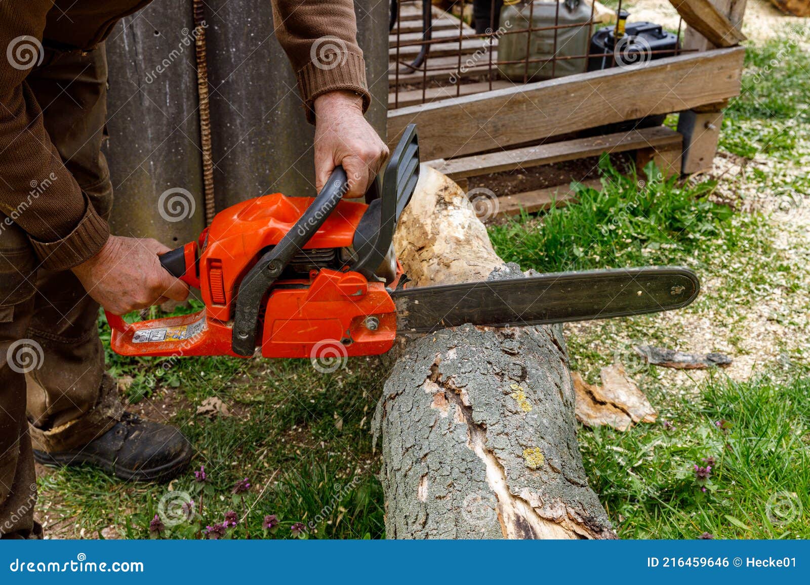 Working with a Chainsaw for Firewood Stock Photo - Image of nature ...
