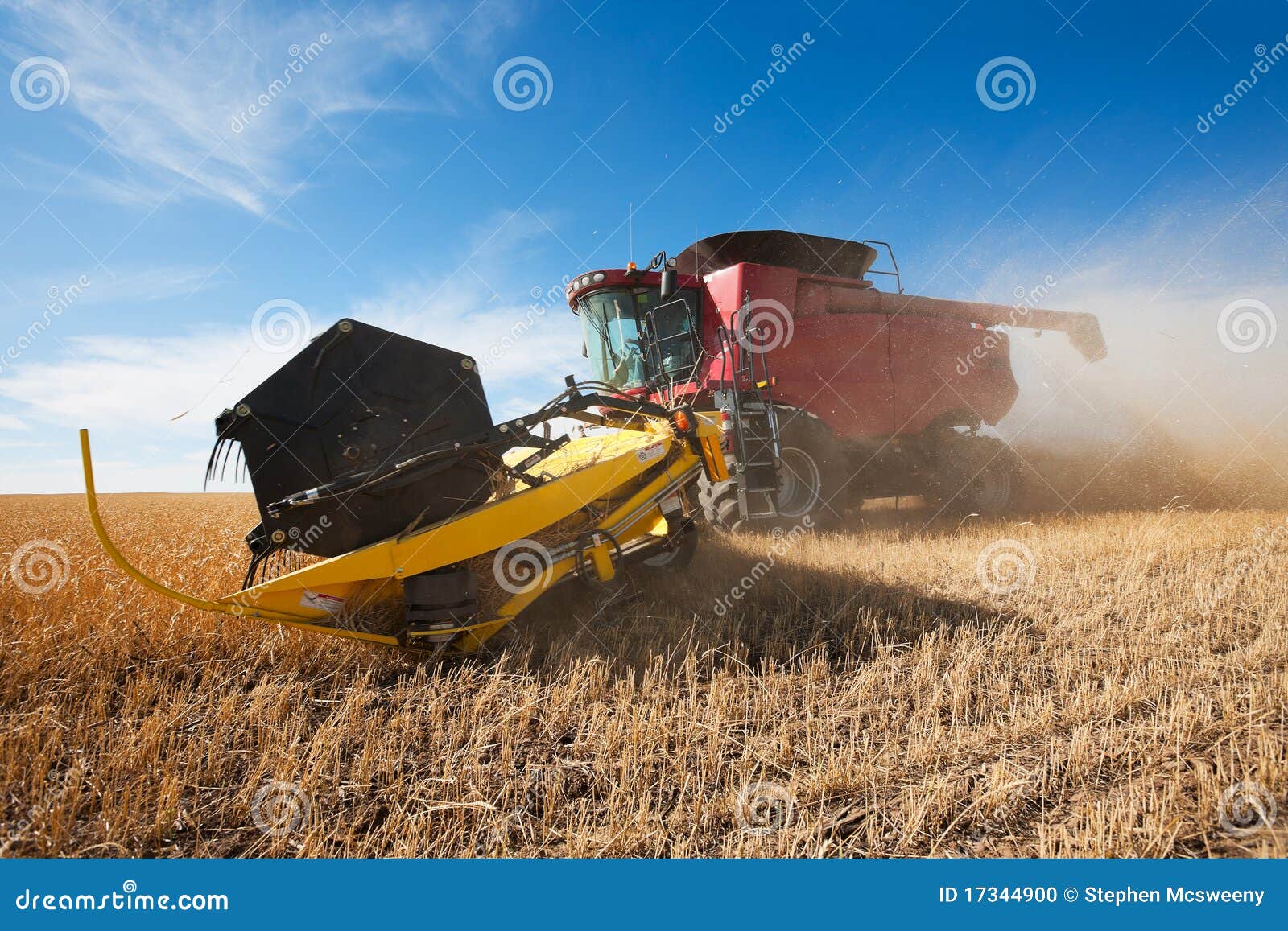 Working combine stock photo. Image of barley, cereal - 17344900