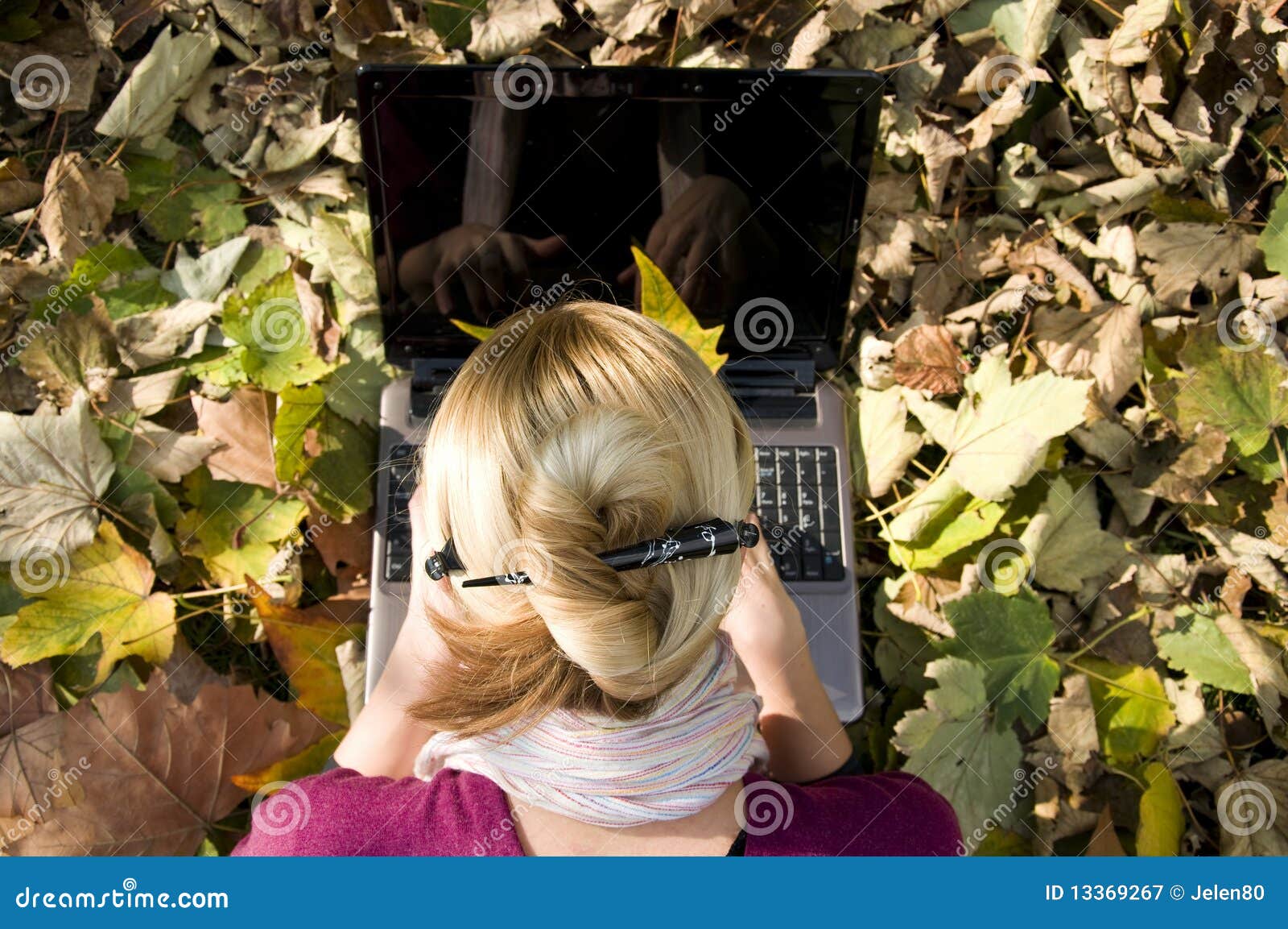 Working on Computer in the Nature Stock Image - Image of blond, school ...