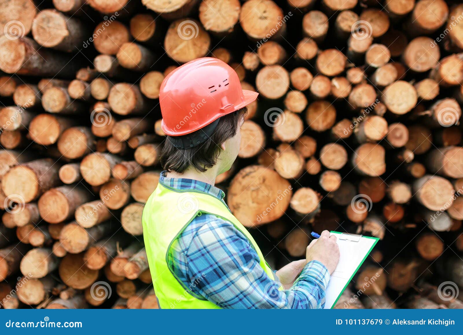 Man in Helmet Worker Wood Lumber Stock Image - Image of professional ...