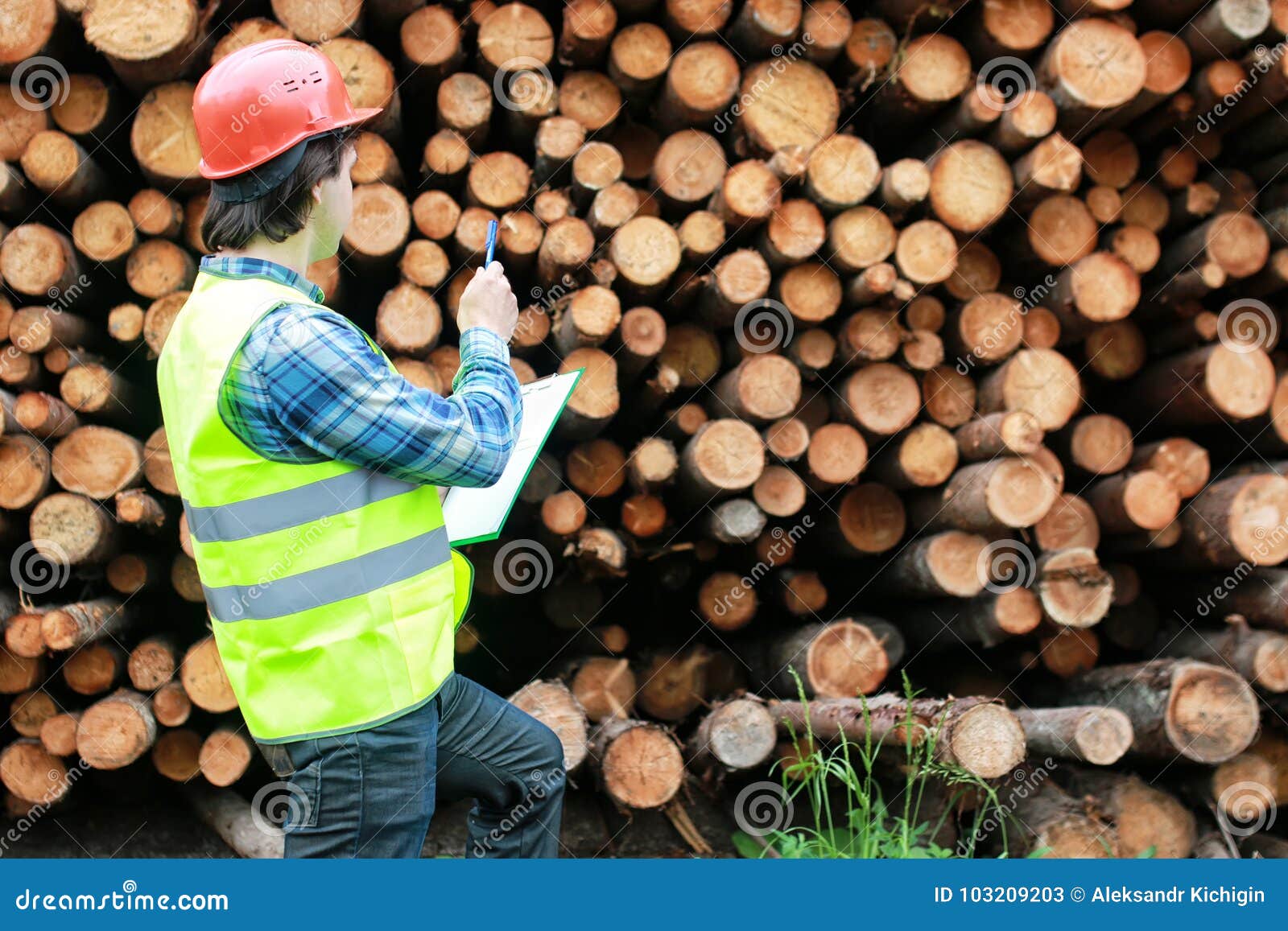Man in Helmet Worker Wood Lumber Stock Image - Image of manager ...