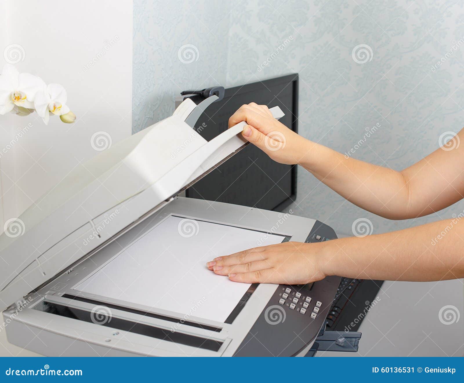 Working copier stock image. Image of office, beauty, copier - 60136531