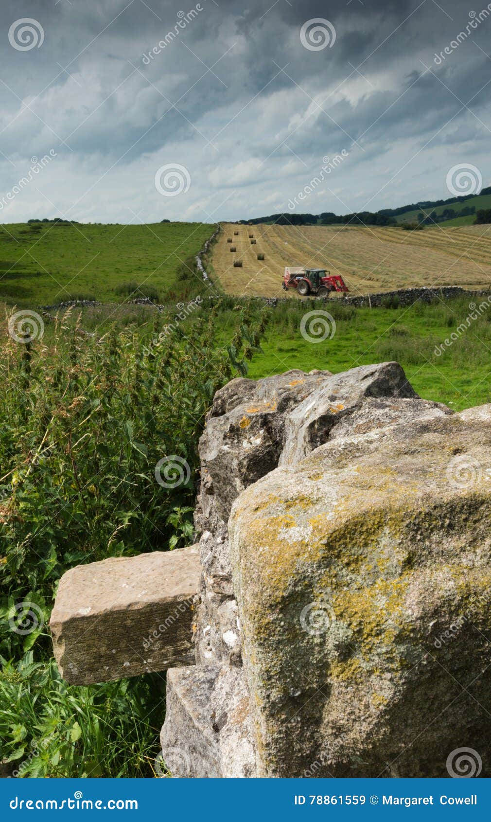Working in the Countryside stock image. Image of yellow - 78861559