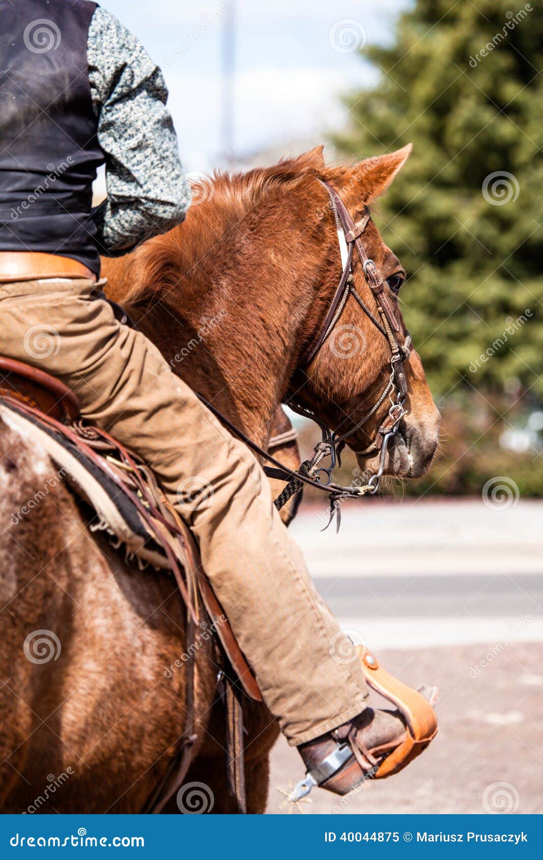Working Cowboy in the American West Riding Stock Image - Image of ...