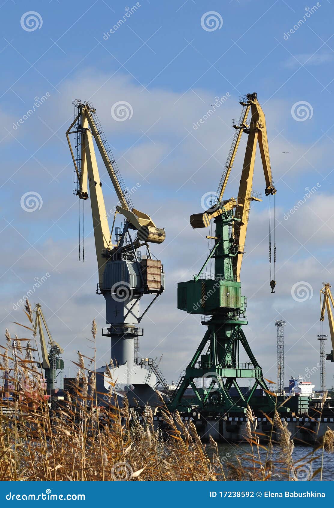 Working cranes stock photo. Image of russia, harbor, steel - 17238592