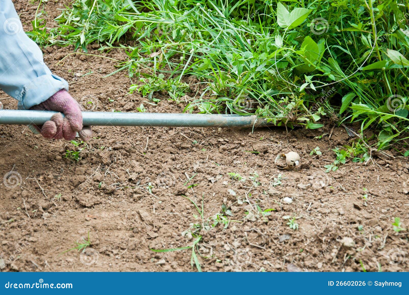 Working of Cut Grass for Clean Area Stock Photo - Image of green, hand ...