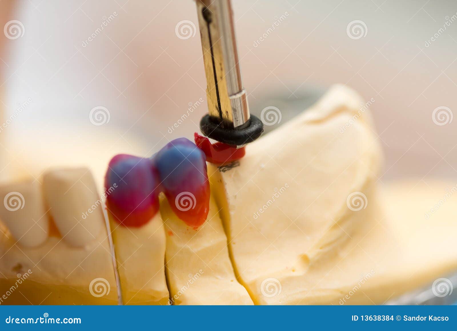 Working dental technician stock photo. Image of prosthetic - 13638384