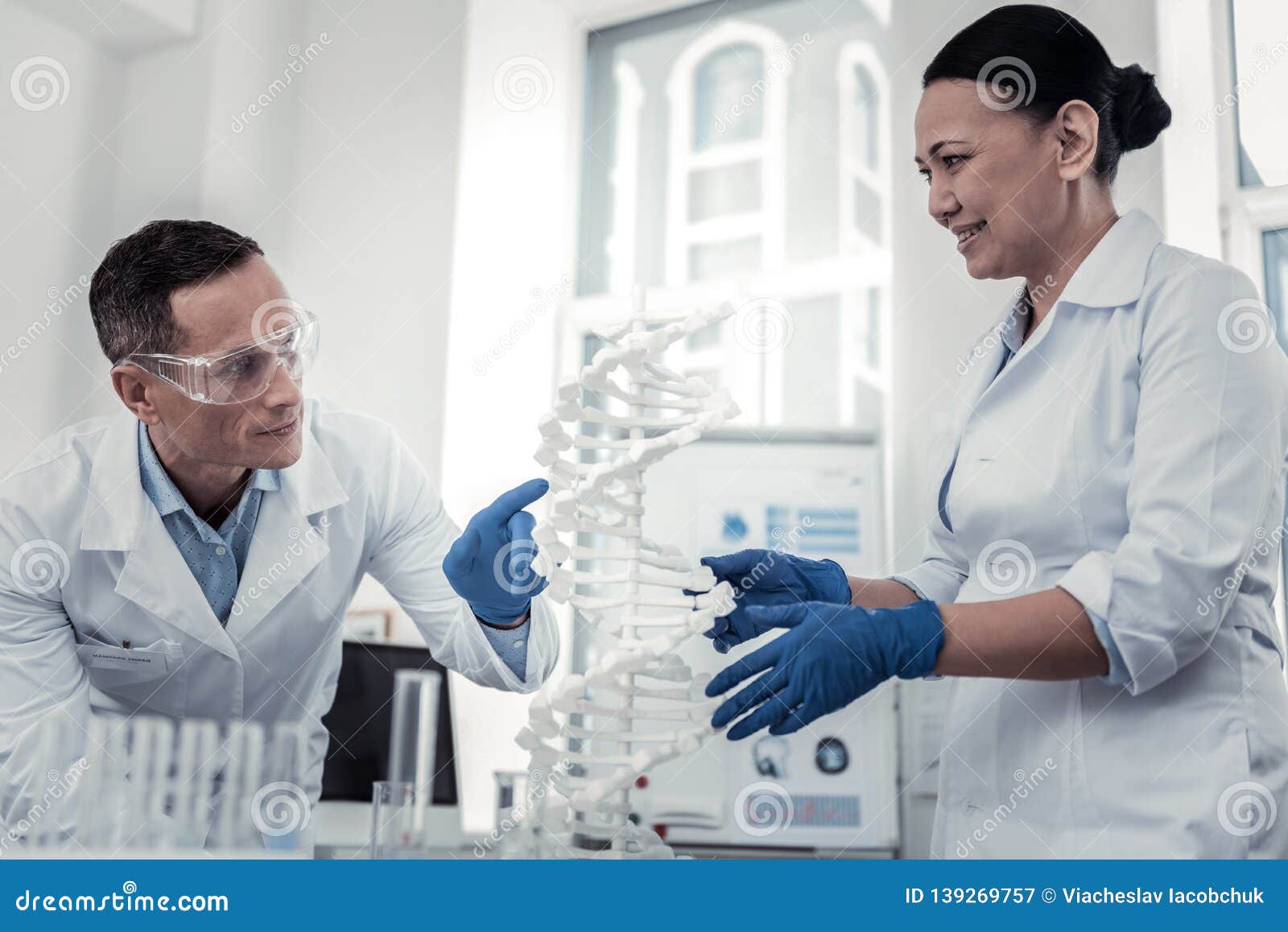 Scientists Working with the DNA Plastic Model Stock Image - Image of ...