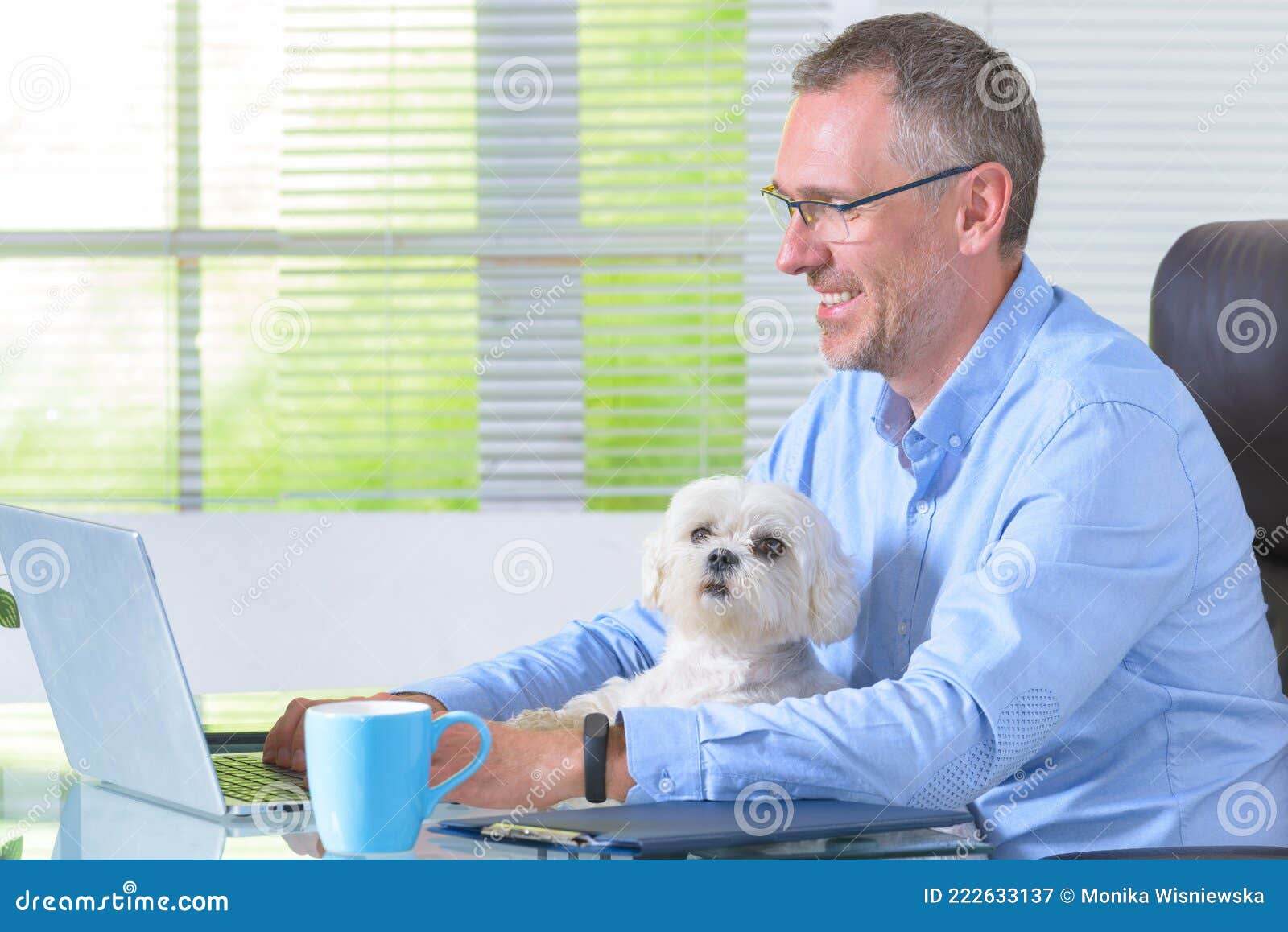 Working with dog at home stock image. Image of beautiful - 222633137