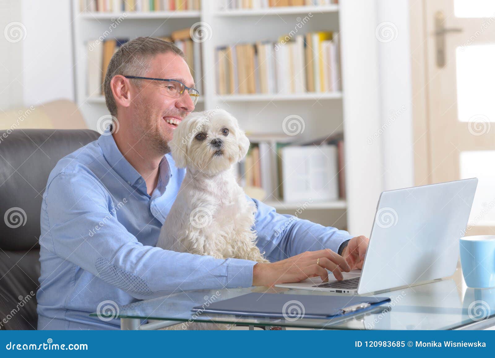 Working with Dog at Home or Office Stock Image - Image of occupation ...