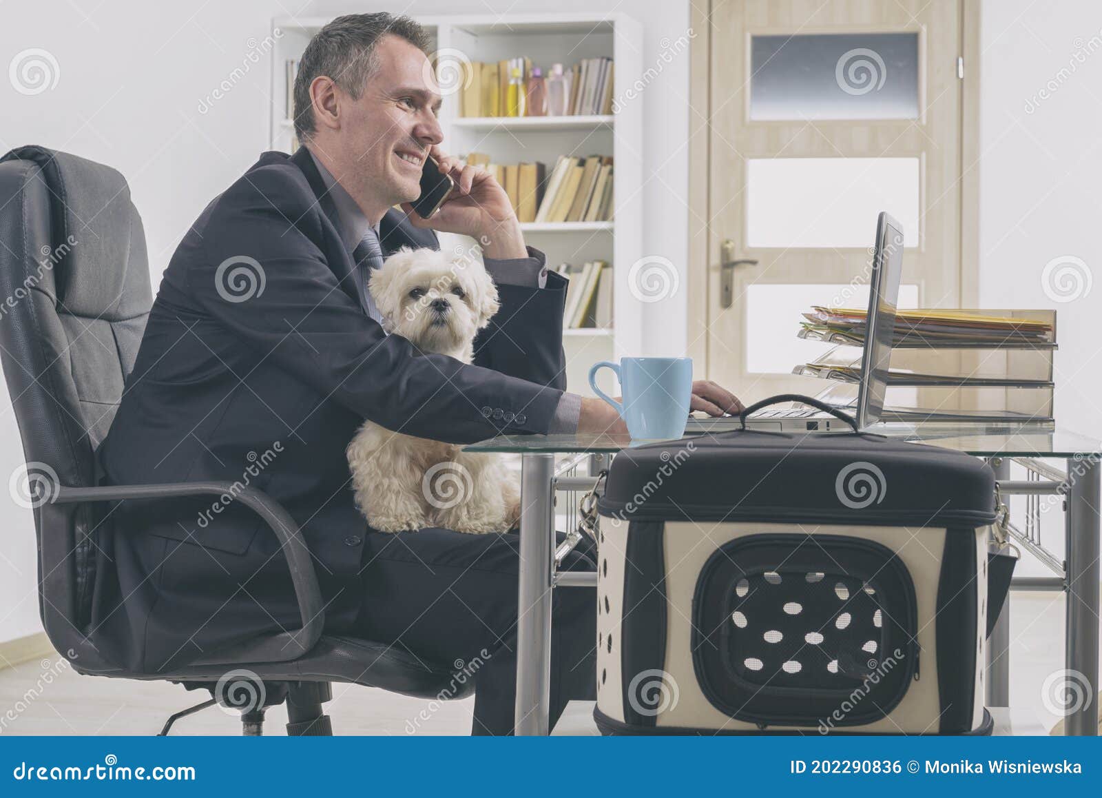 Working with Dog at Home or Office Stock Photo - Image of person ...