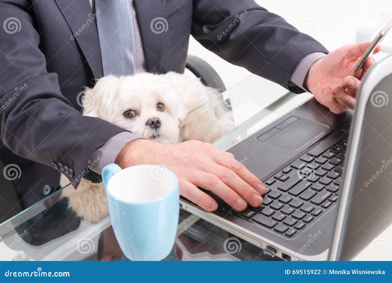 Working with Dog in the Office Stock Photo - Image of computer, mobile ...
