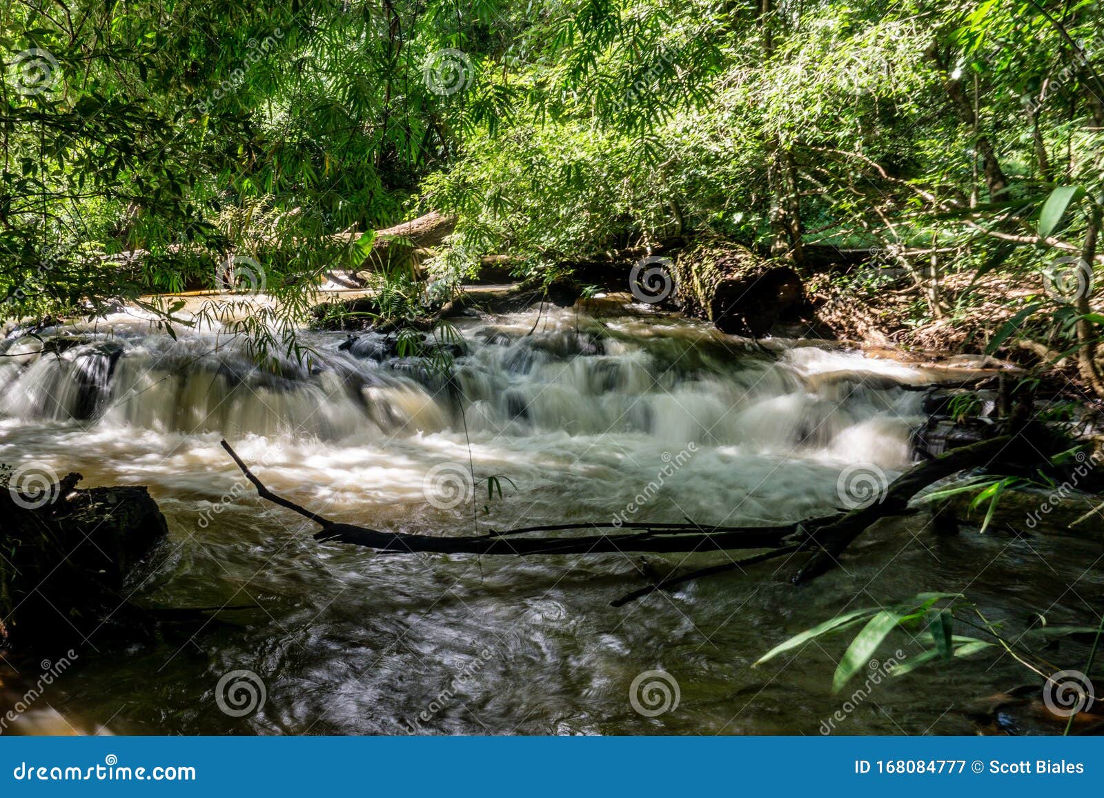 Mondulkiri, Cambodia stock image. Image of park, rock - 168084777