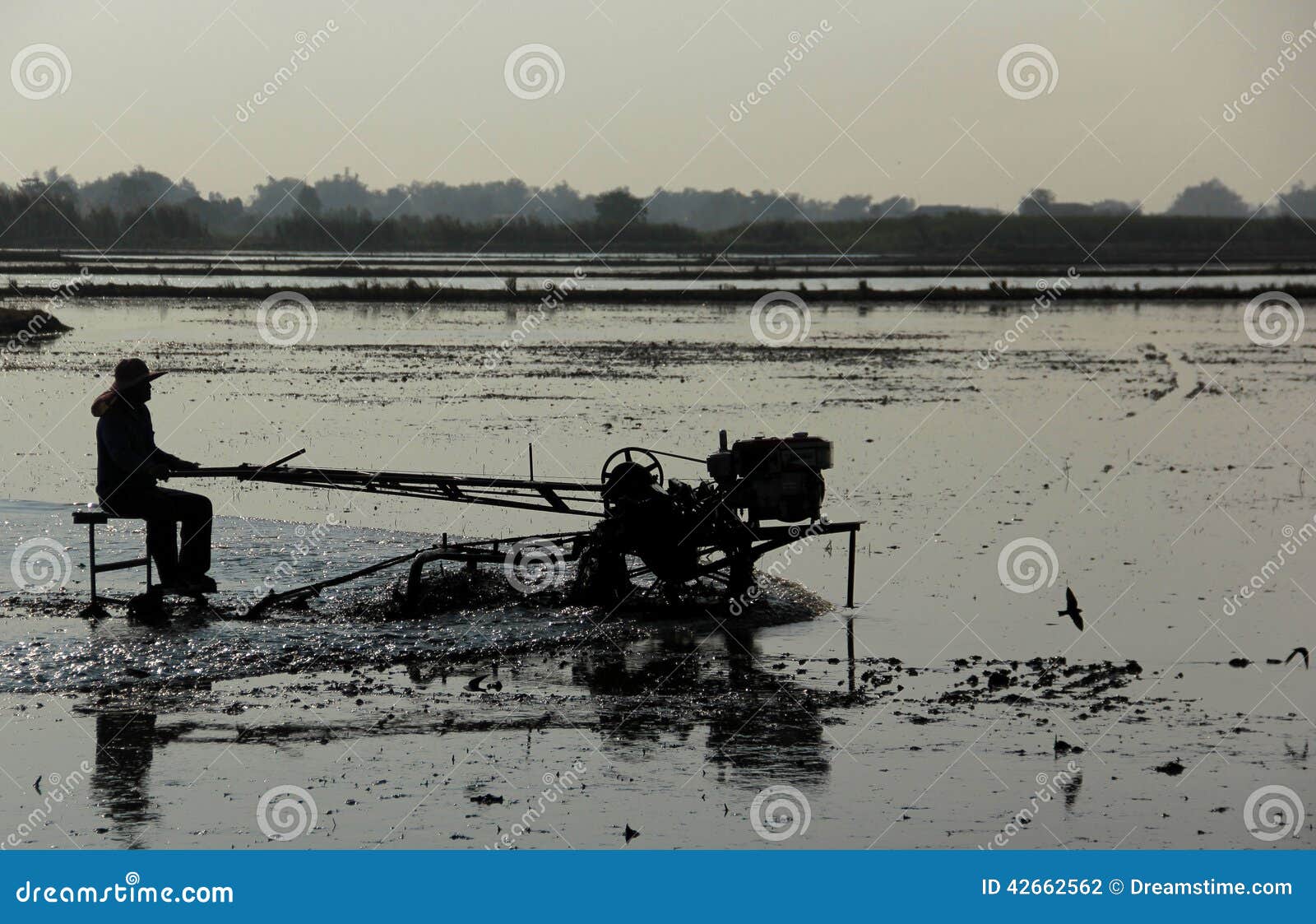 Working stock photo. Image of rice, farming, engine, shoveling - 42662562