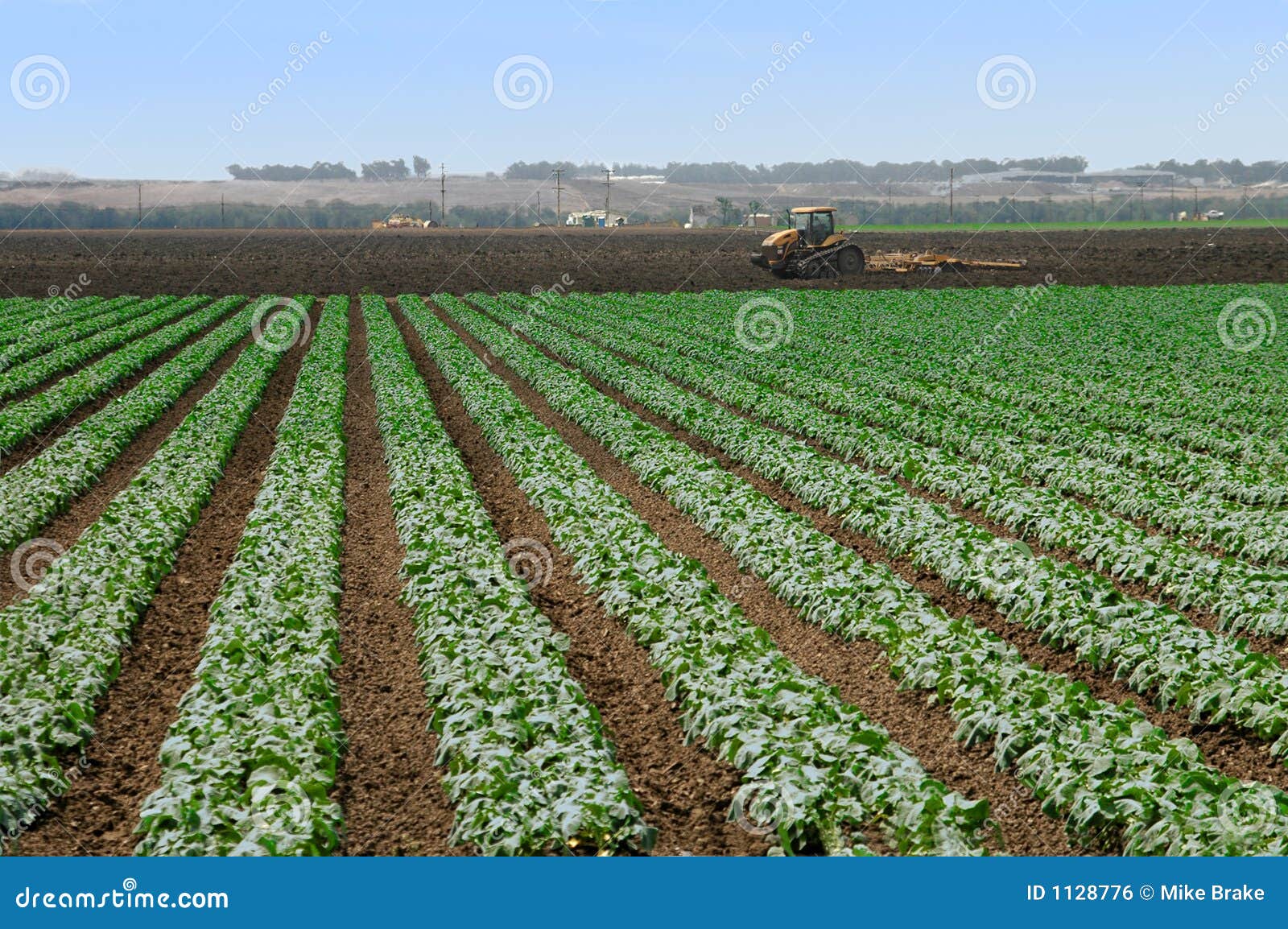 Working the Fields stock photo. Image of plants, agriculture - 1128776