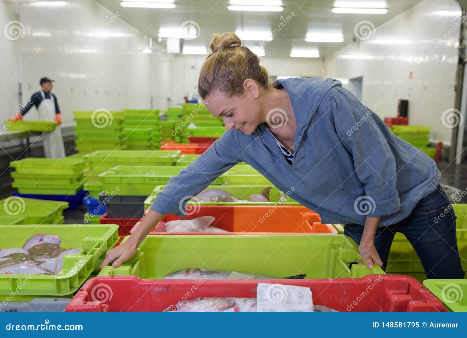 Working in fish factory stock image. Image of eating - 148581795