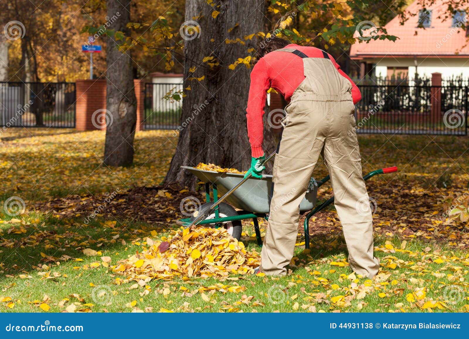 Working Gardener in a Garden Stock Photo - Image of leaves, nature ...