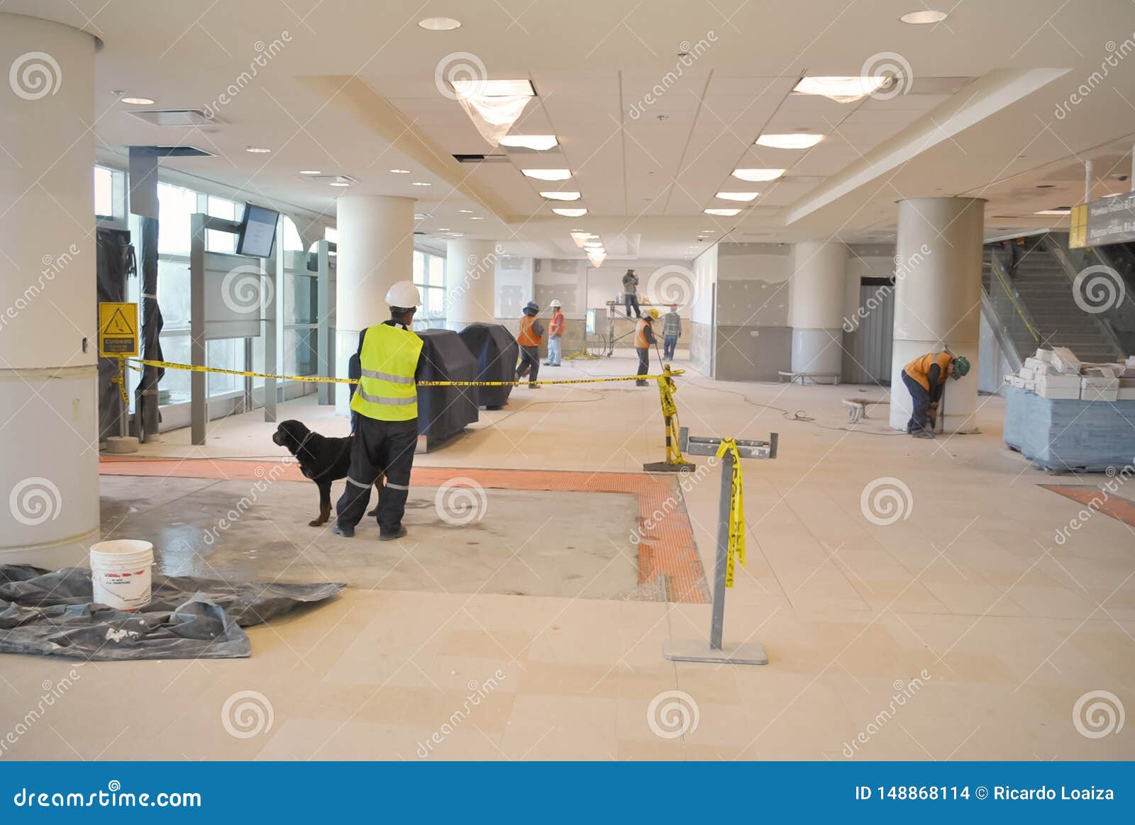 Working Group in the Middle of a Construction with a Dog. Editorial ...