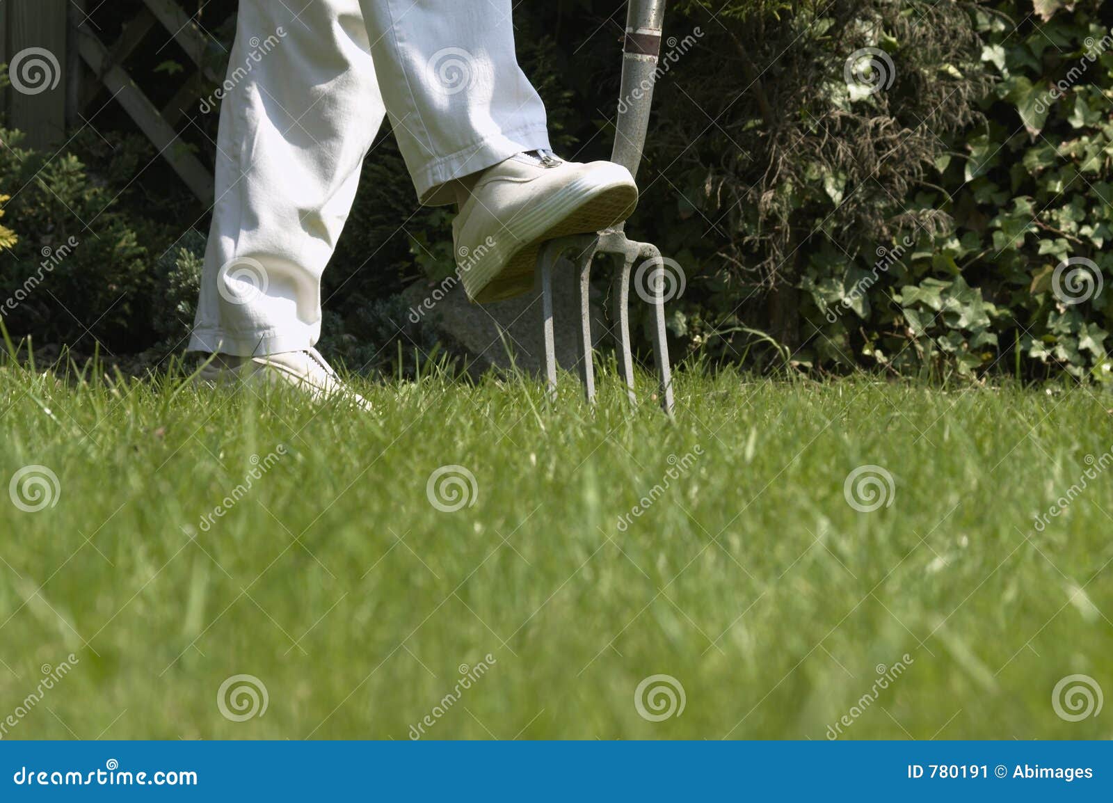 Working hard stock image. Image of garden, grass, work - 780191
