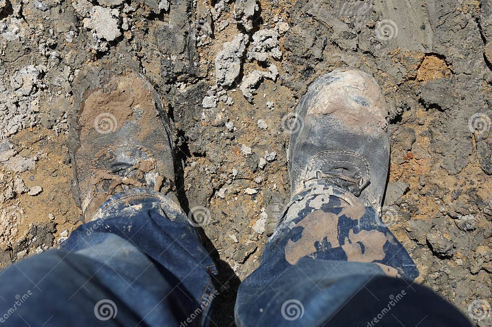 Working Hard in the Mud stock photo. Image of geology - 307161370
