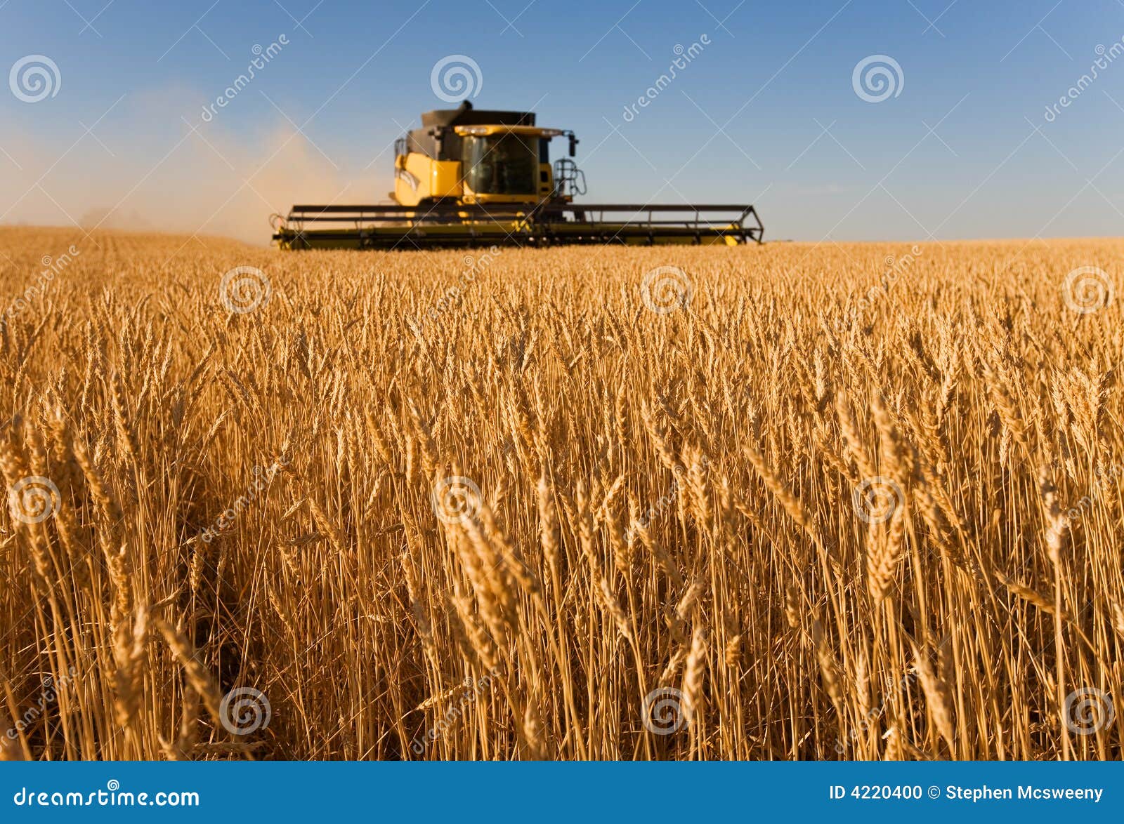 Working the harvest stock photo. Image of harvester, harvesting - 4220400