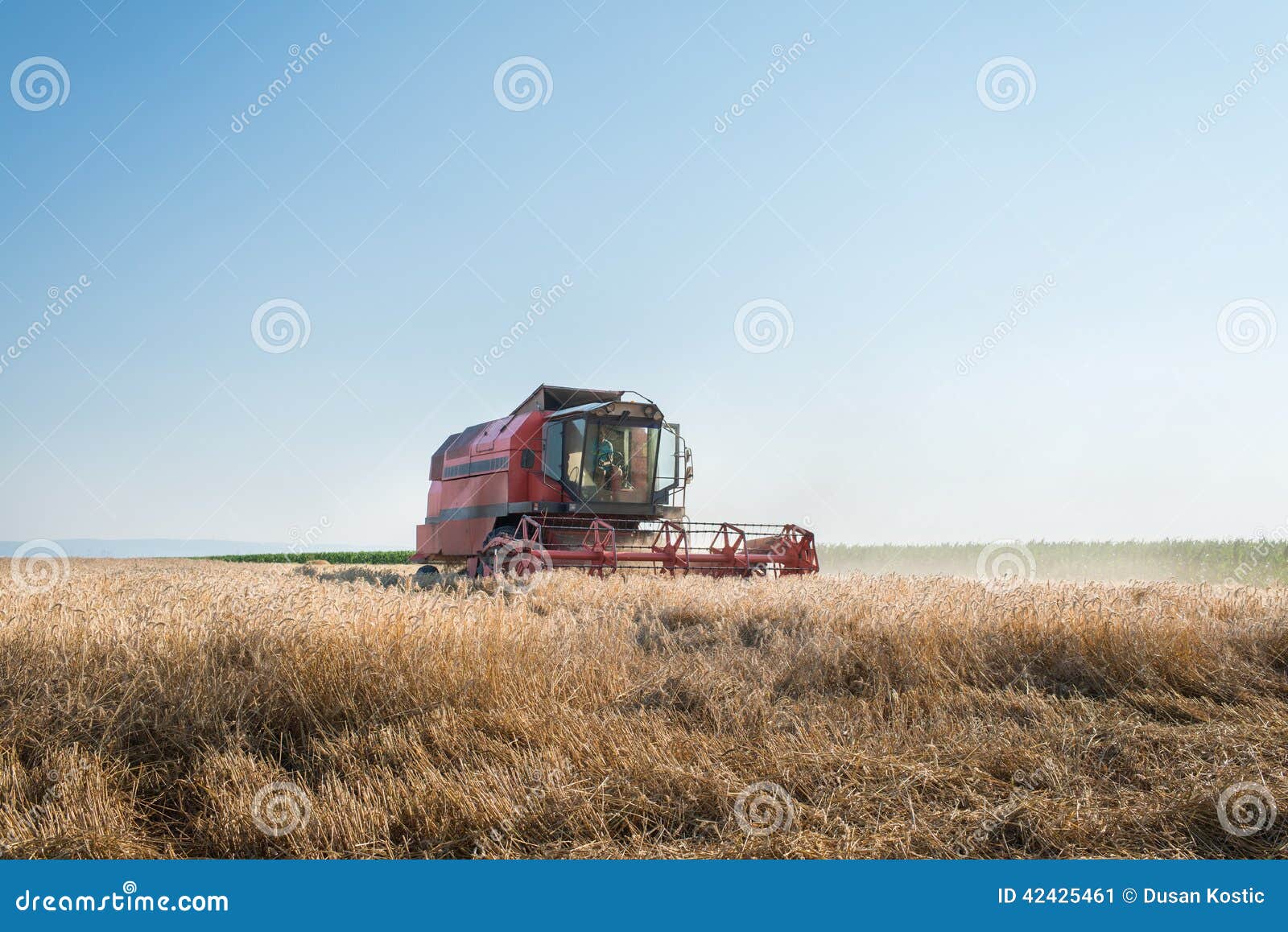 Working Harvesting Combine stock image. Image of scene - 42425461