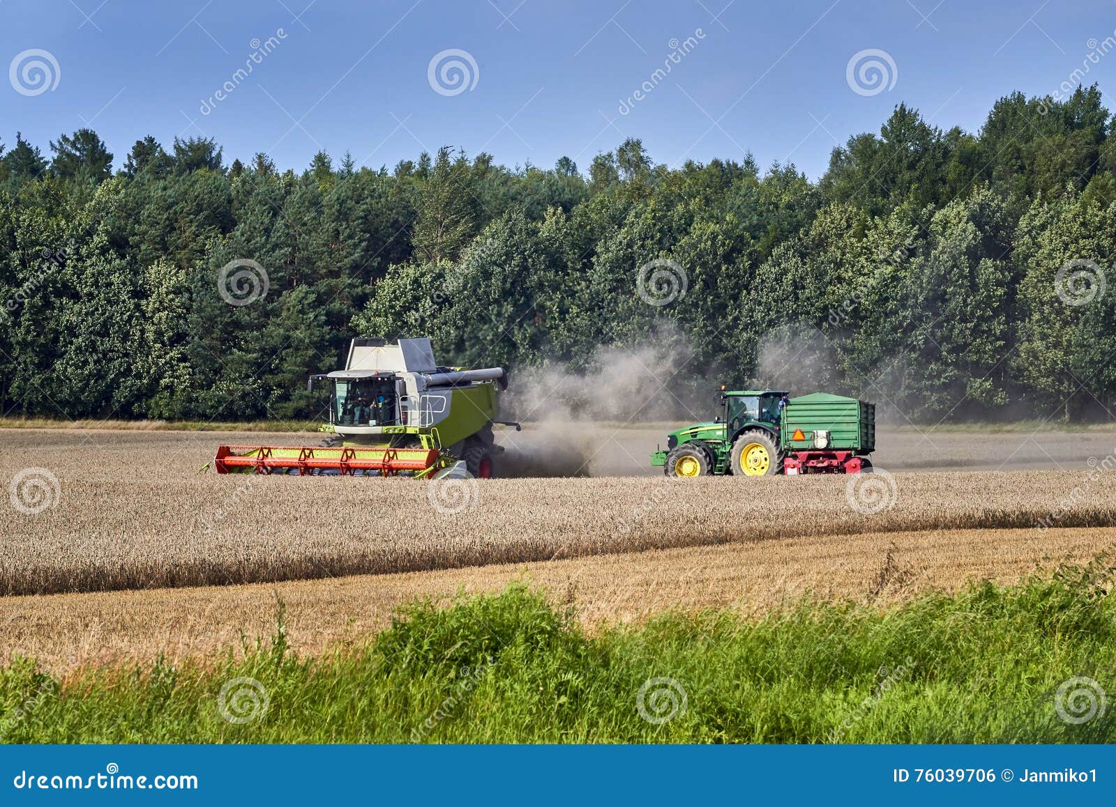 Working Harvesting Combine in the Field of Wheat Stock Photo - Image of ...