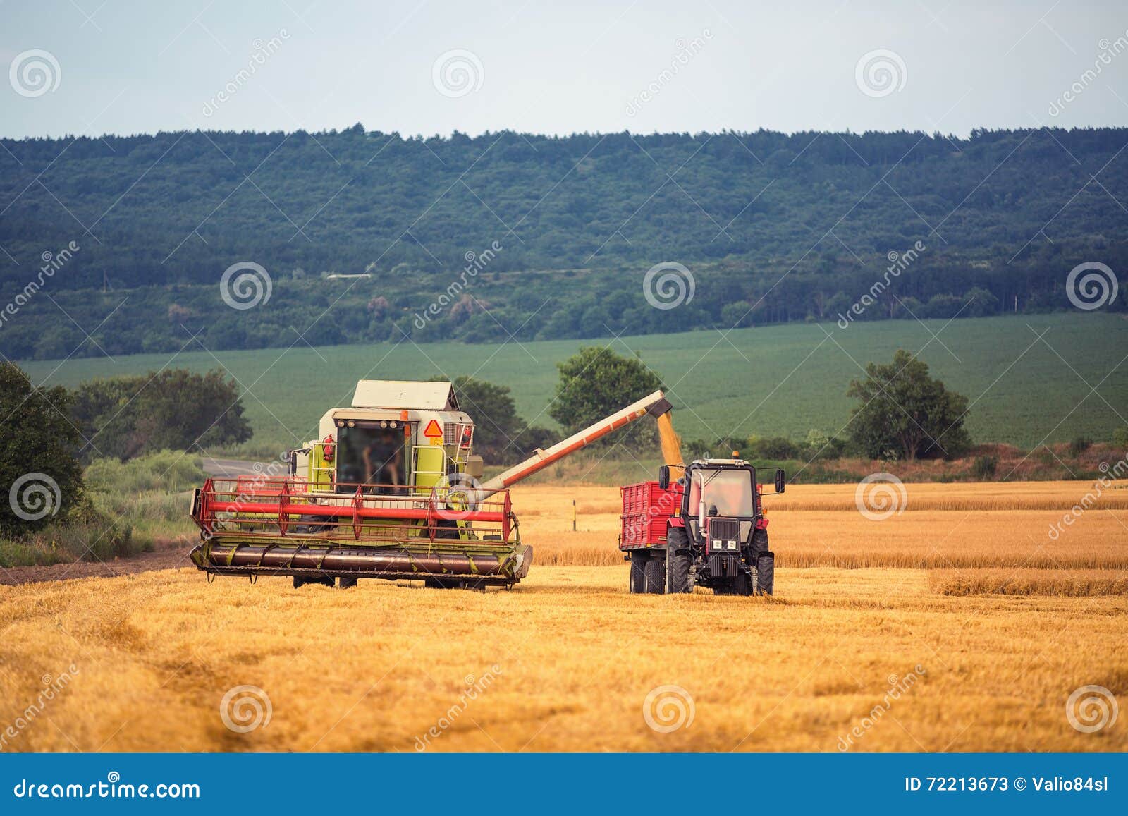 Working Harvesting Combine in the Wheat Field Stock Image - Image of ...