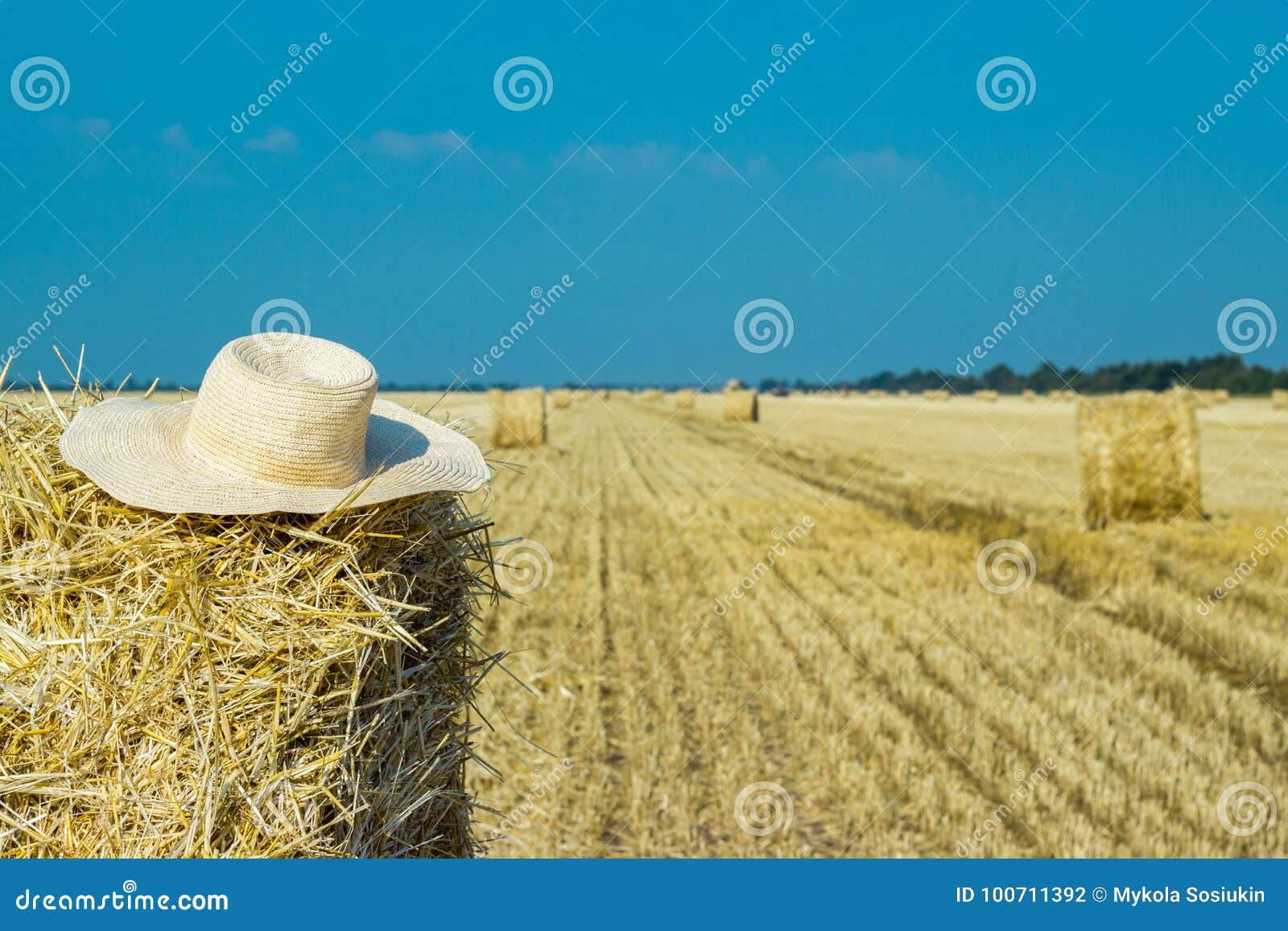 Working Hat of a Farmer on a Haystack. Agriculture Concept Stock Photo ...