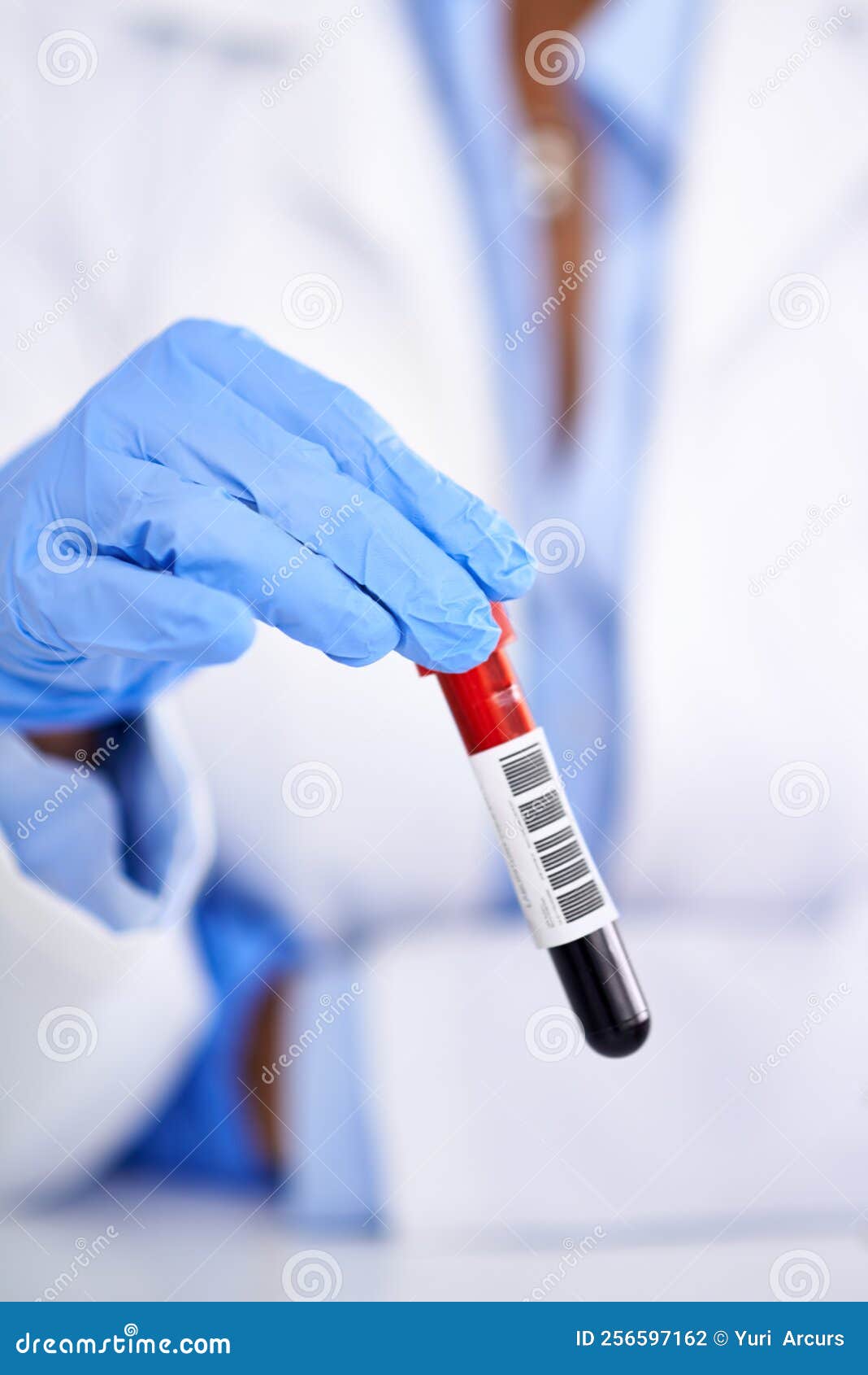 Working for a Healthier Humanity. a Scientist Working with Blood ...