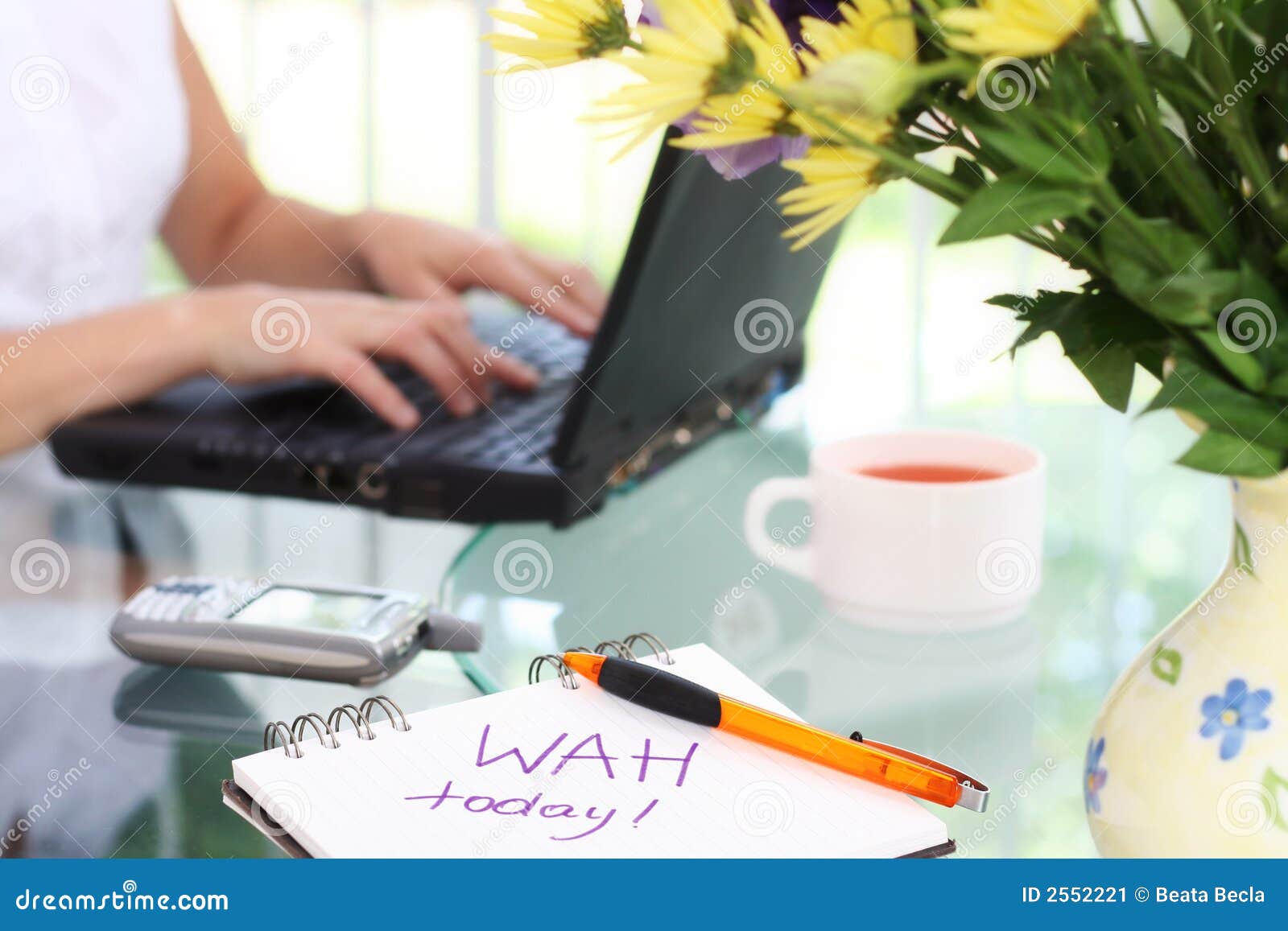 Working at home stock image. Image of writing, inside - 2552221