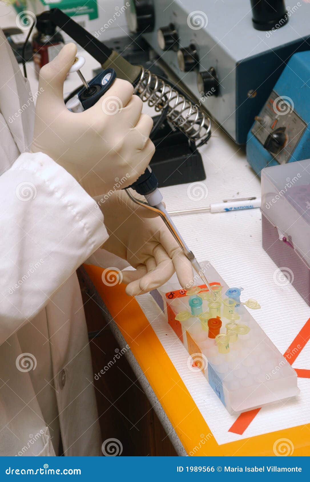 Working in the lab stock photo. Image of nurse, doctor - 1989566