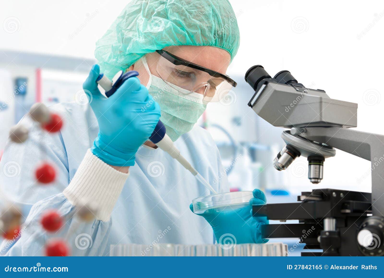 Working at the laboratory stock image. Image of industry - 27842165