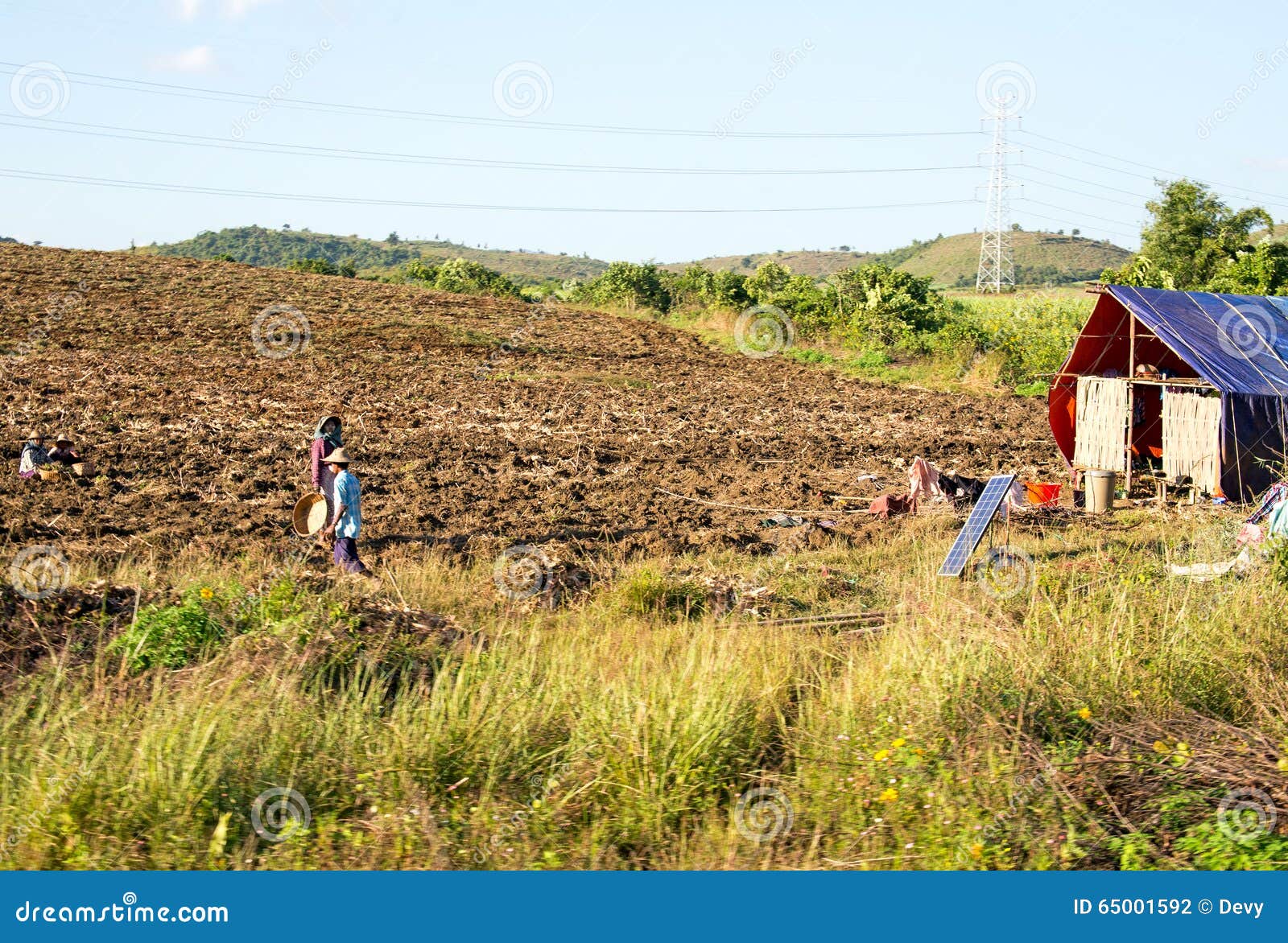 Working on the Land in the Countryside from Myanmar Editorial ...