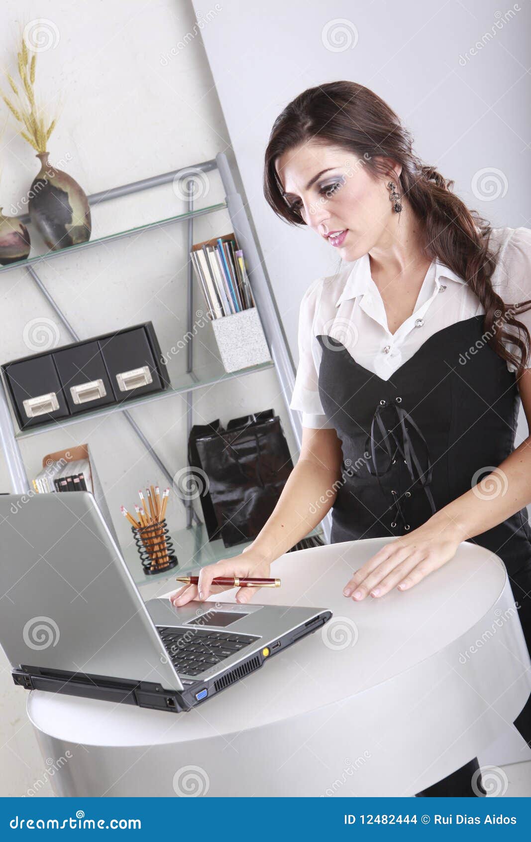 Working with a laptop stock photo. Image of beautiful - 12482444