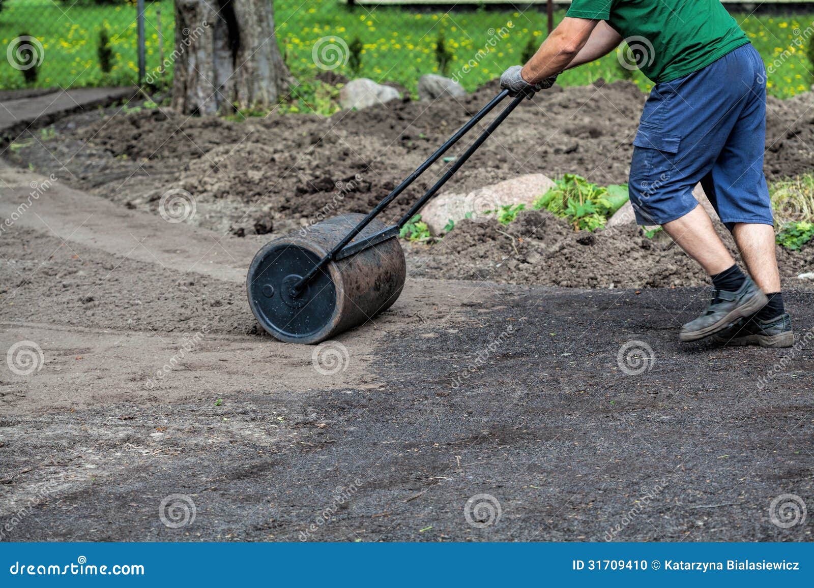 Working with lawn roller stock photo. Image of horticulturist - 31709410