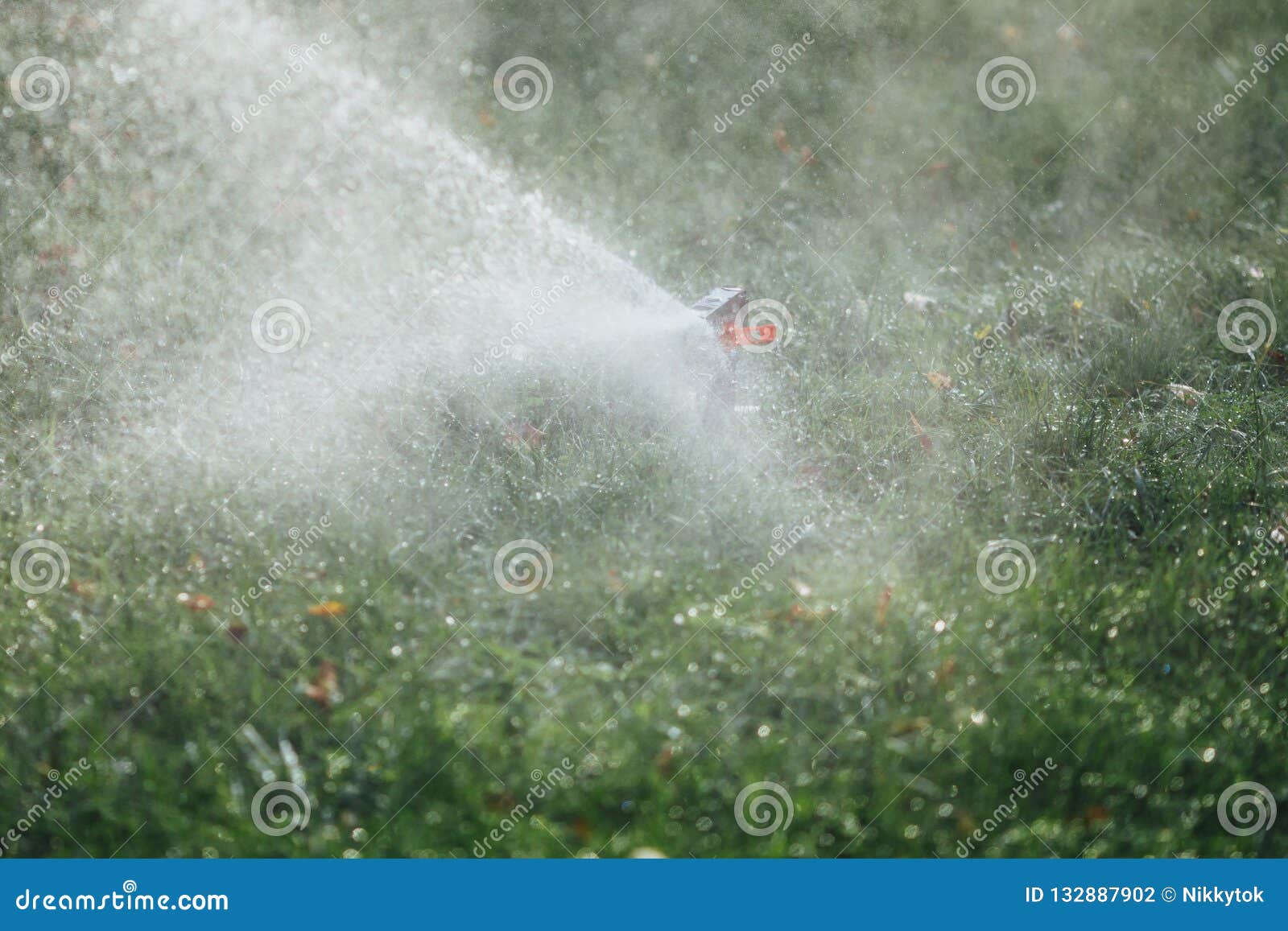 Working Lawn Sprinkler Spraying Water Over Green Grass Stock Photo ...