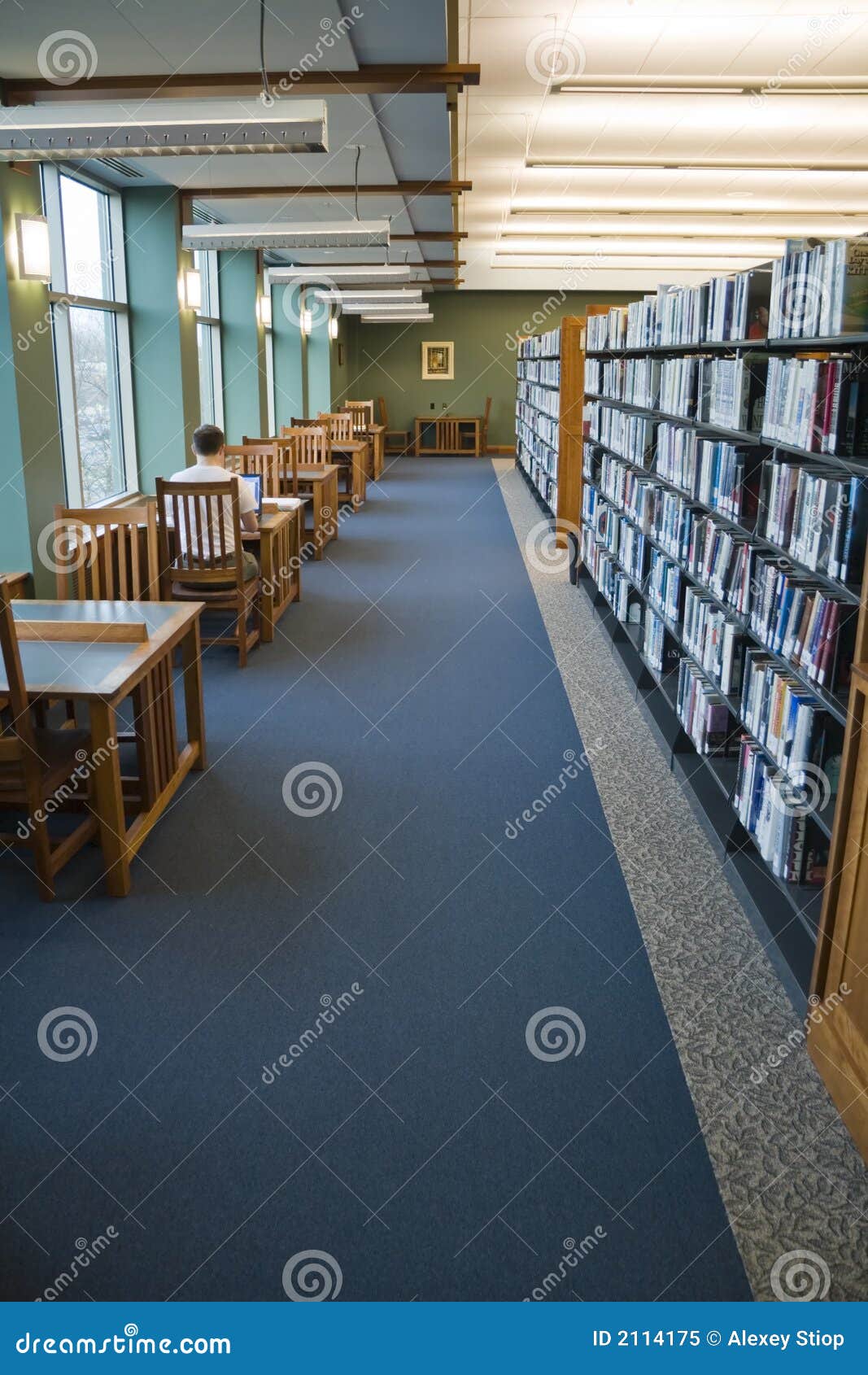 Working in the library stock image. Image of books, laptop - 2114175