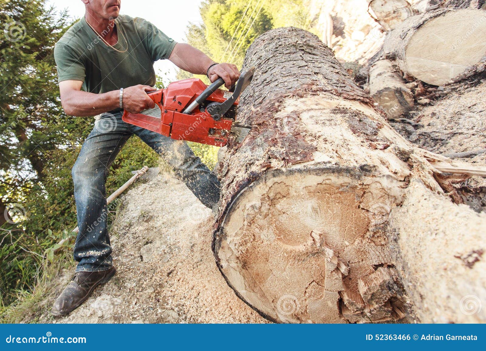 Working Man with a Chainsaw that Cuts a Tree Editorial Photo - Image of ...