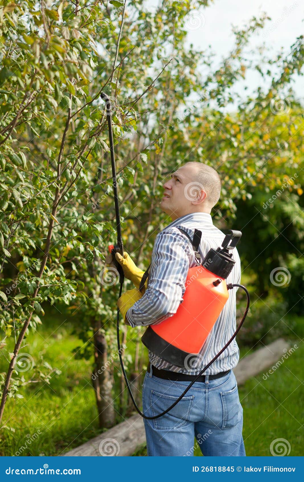 Working Man with Garden Spray Stock Image - Image of 3040, human: 26818845