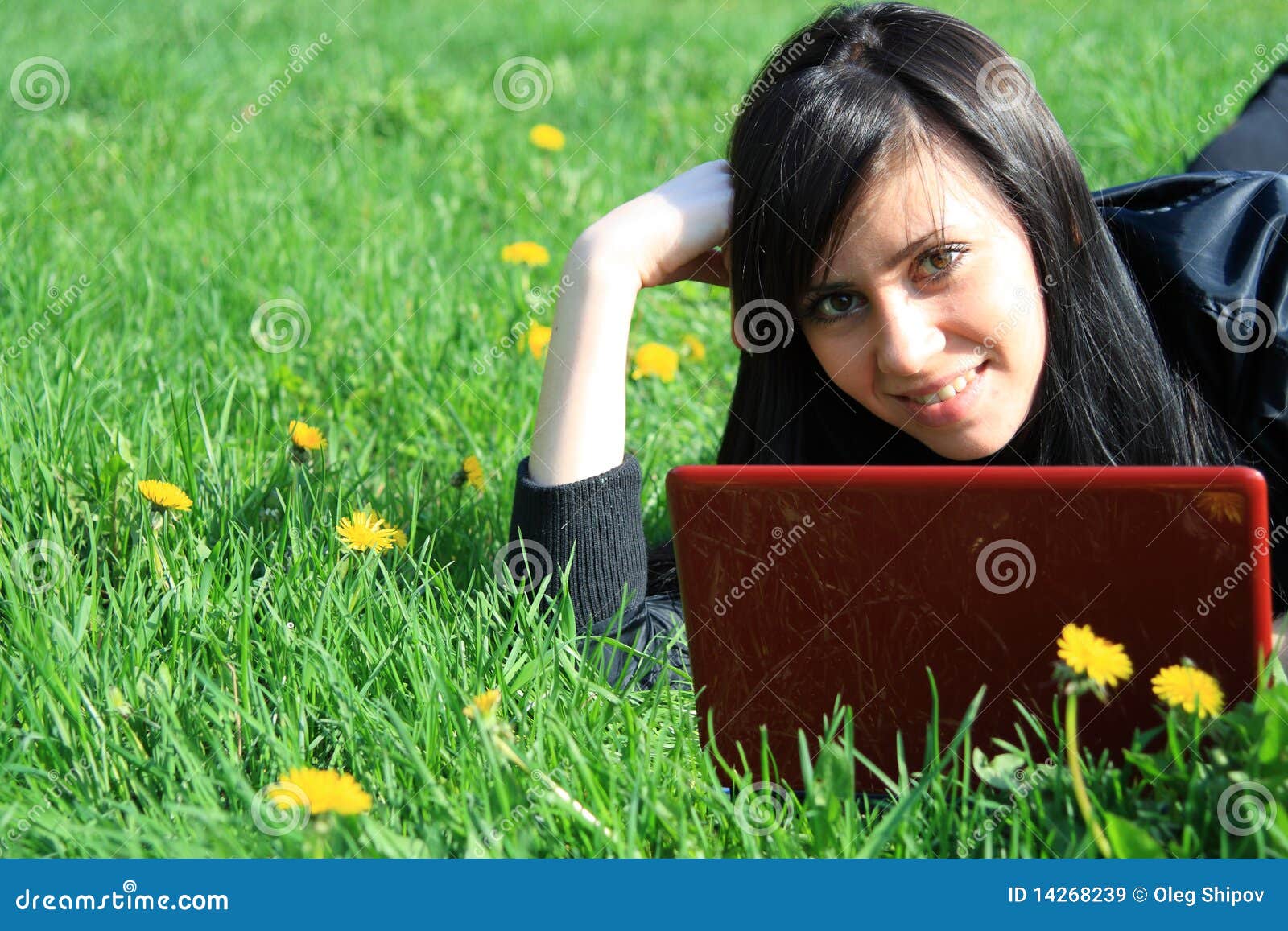 Working in meadow stock image. Image of internet, adult - 14268239