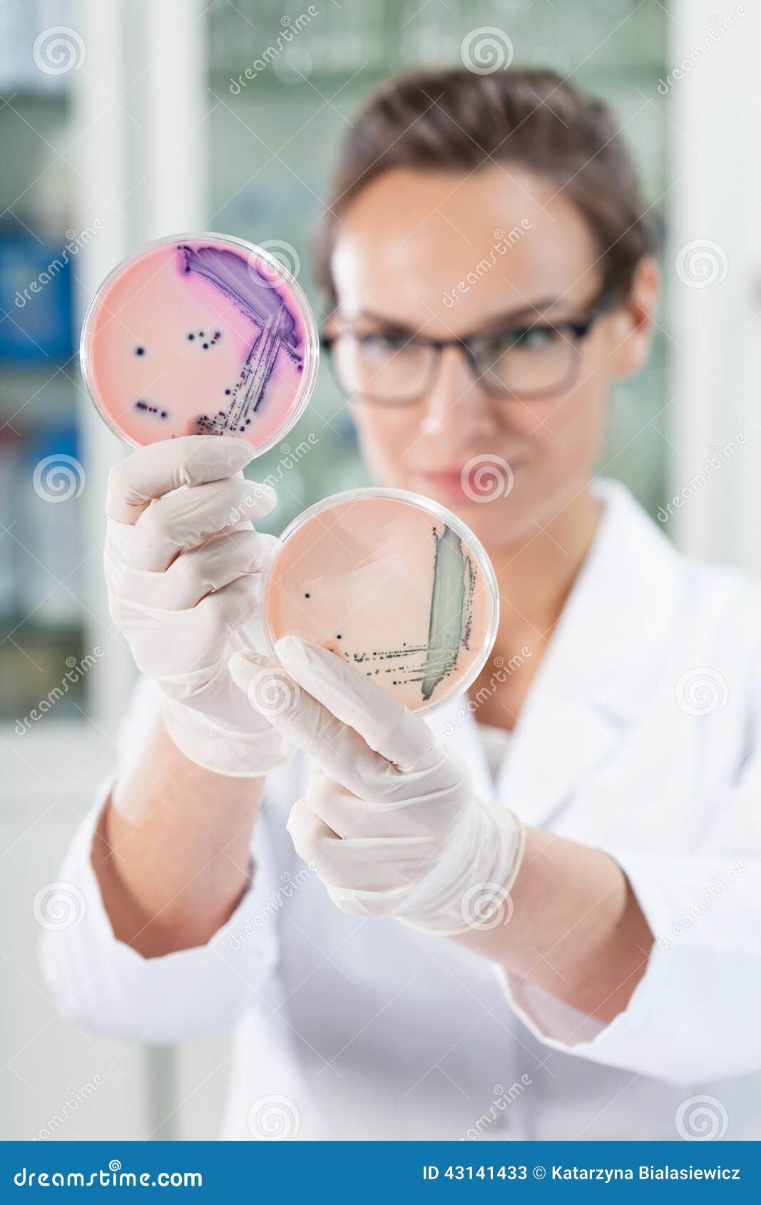 Working with microbacteria stock image. Image of chemist - 43141433