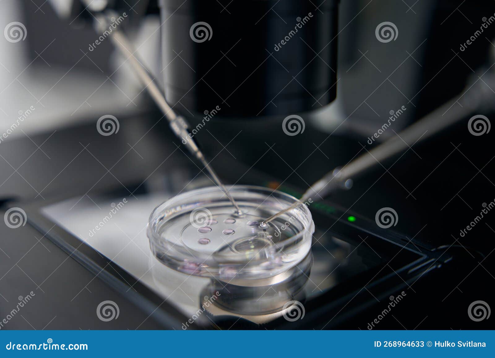 Working with a Micromanipulator in a Specialized Laboratory Stock Image ...