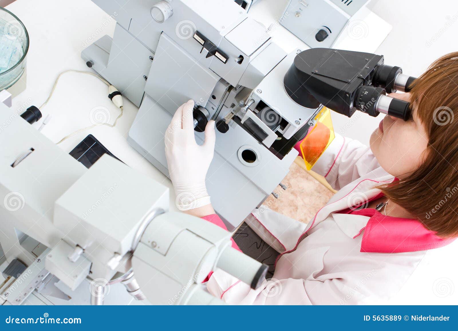 Working with Microscope in Lab Stock Image - Image of research ...