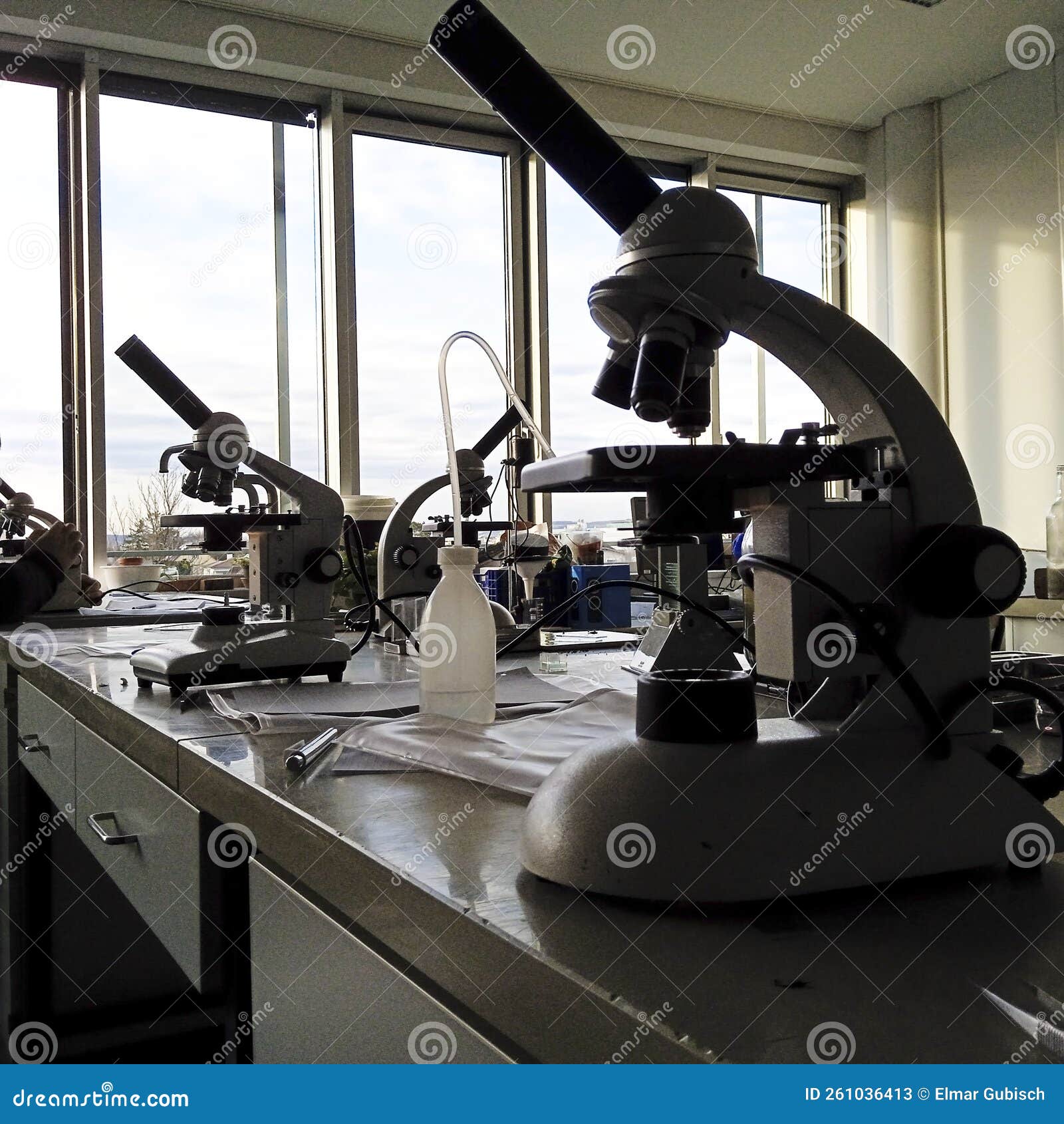 Working with Microscope in Lab Stock Image - Image of information ...
