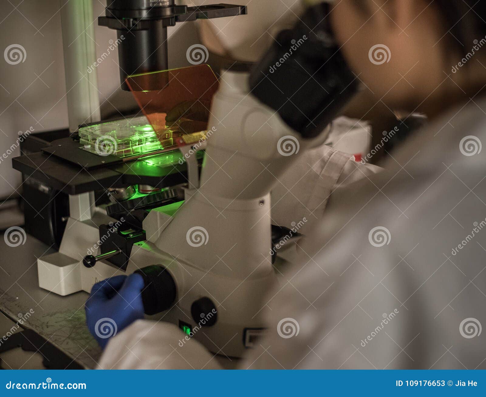 Working with microscope stock image. Image of research - 109176653