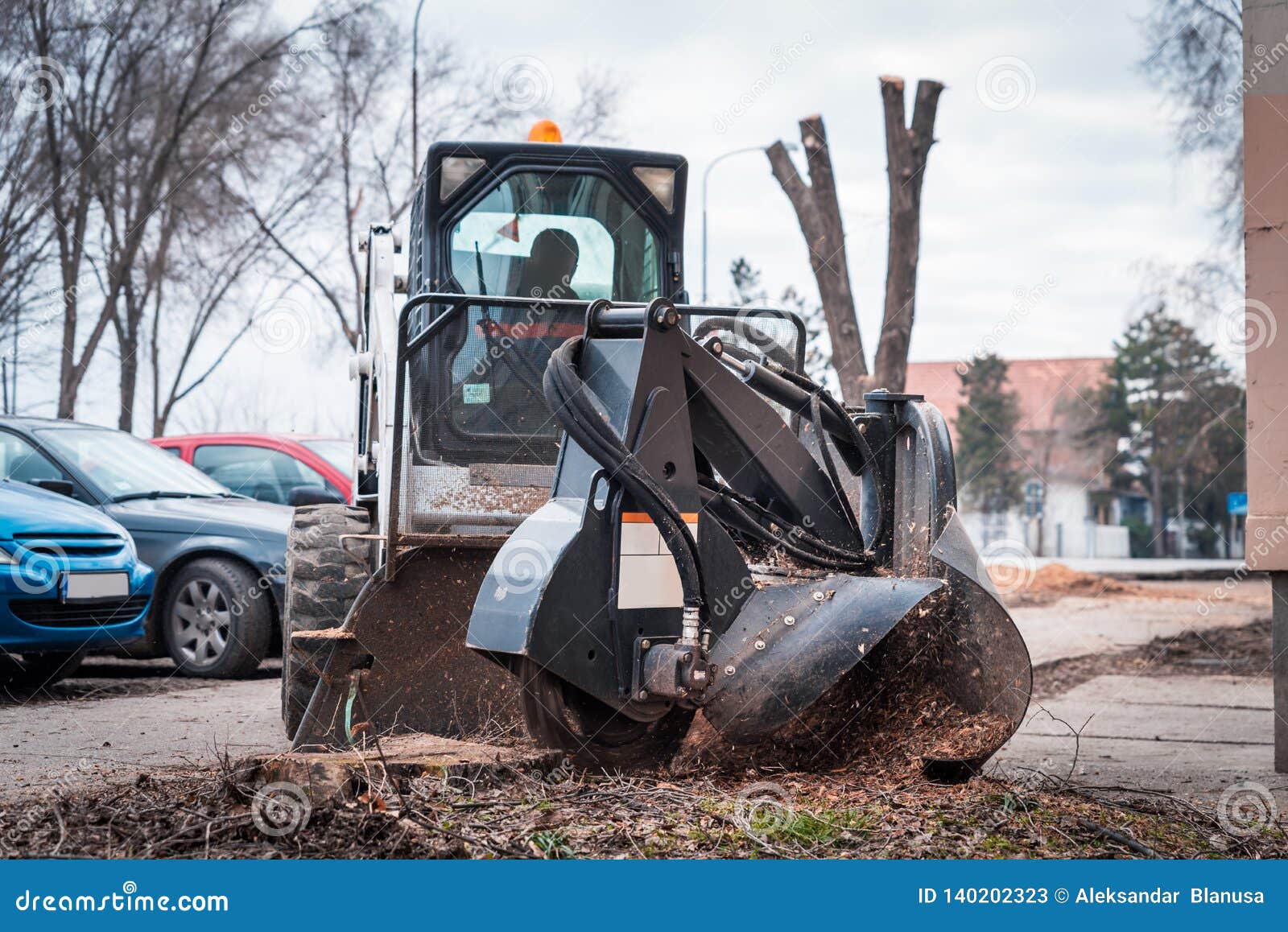 Working Mobile Machine for Cutting Wood Tree Stump Stock Image - Image ...