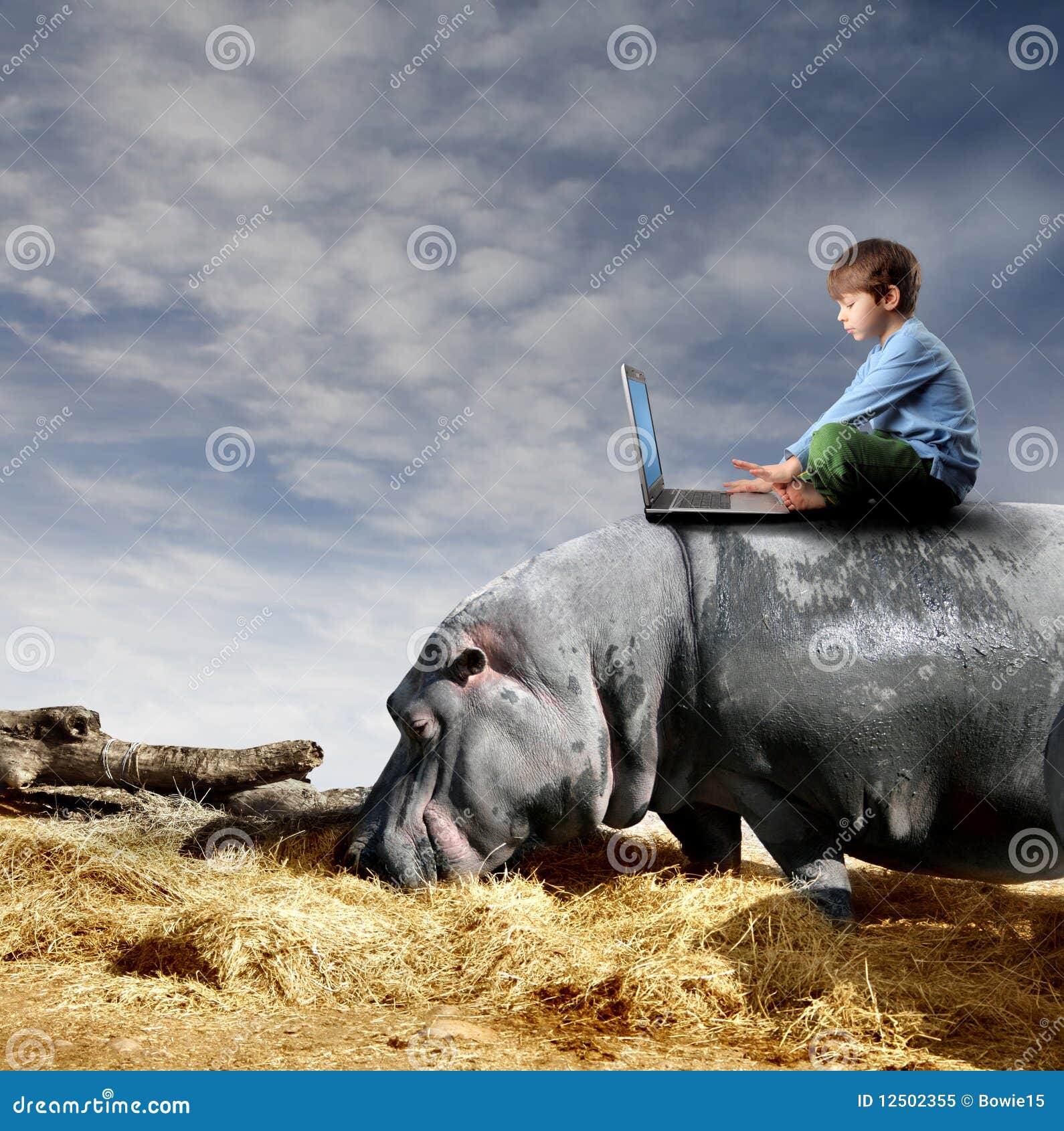 Working in nature stock image. Image of concept, notebook - 12502355