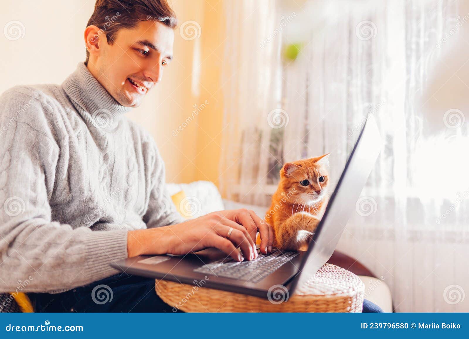 Working Online from Home with Pet Using Computer. Man Typing on Laptop ...